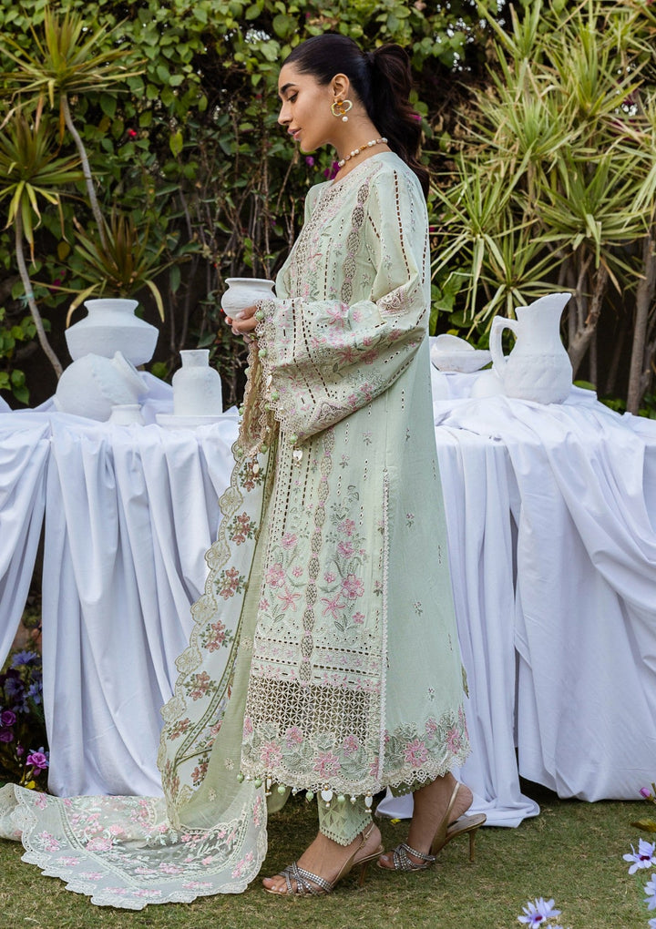 Akbar Aslam Alessandra D-157 Marais – Grey Luxury Lawn Outfit – alhassan